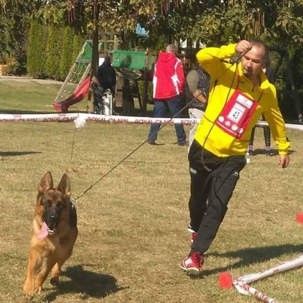 Dresaj Competitional | Pensiunea Canina - First Land